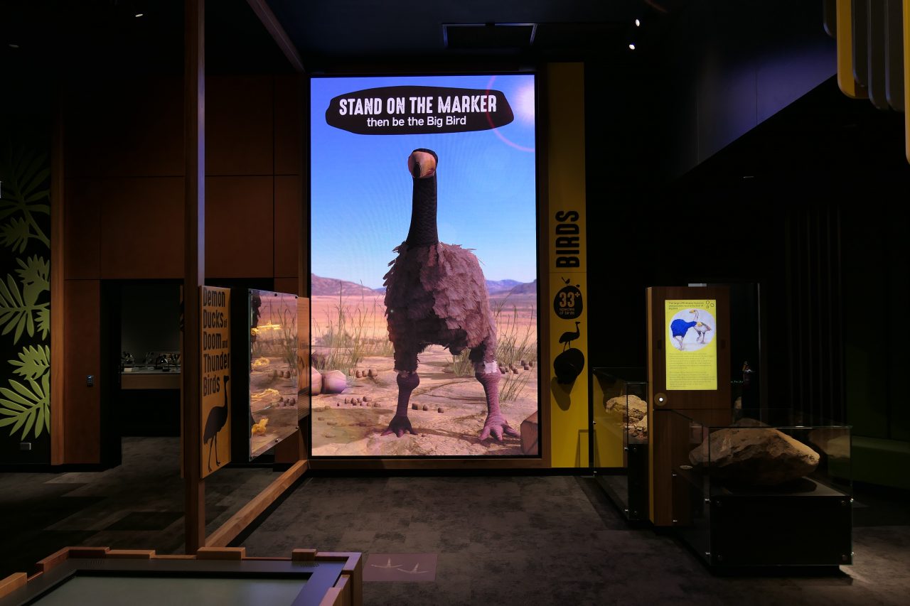 Riversleigh Fossil Discovery Centre – Prendi